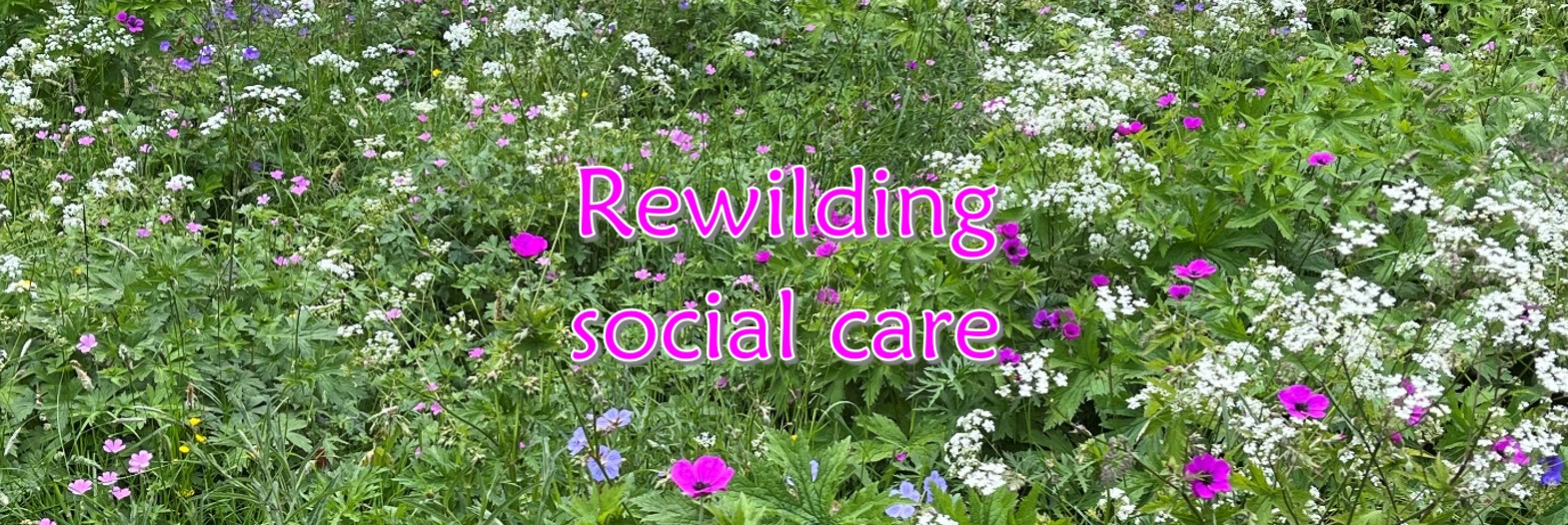 Rewilding social care – Rewriting social care